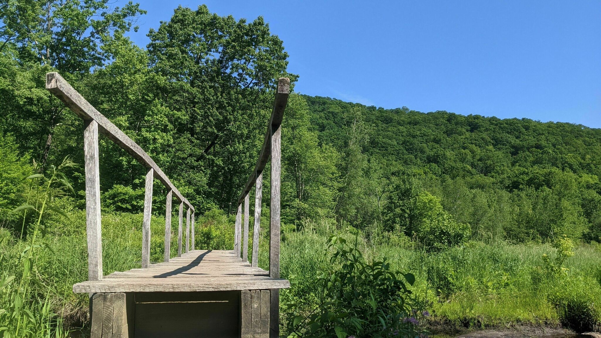 Explore A New Side Of The Litchfield Hills With Meeker Trail, A Scenic ...