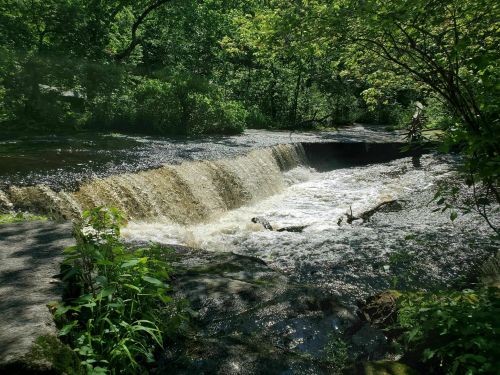 The 7 Rhode Island Waterfalls Are Sure To Impress Any Nature Lover