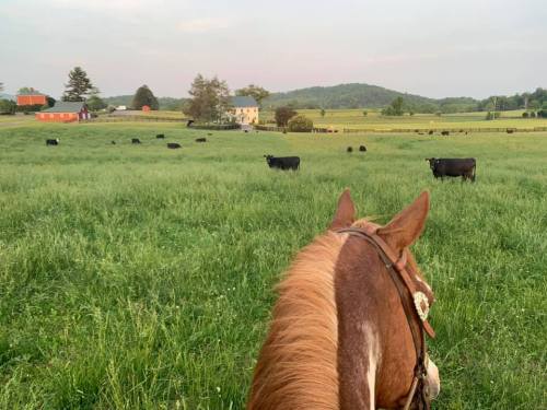 Stay The Night At An Authentic Ranch At The Marriott Ranch B&B