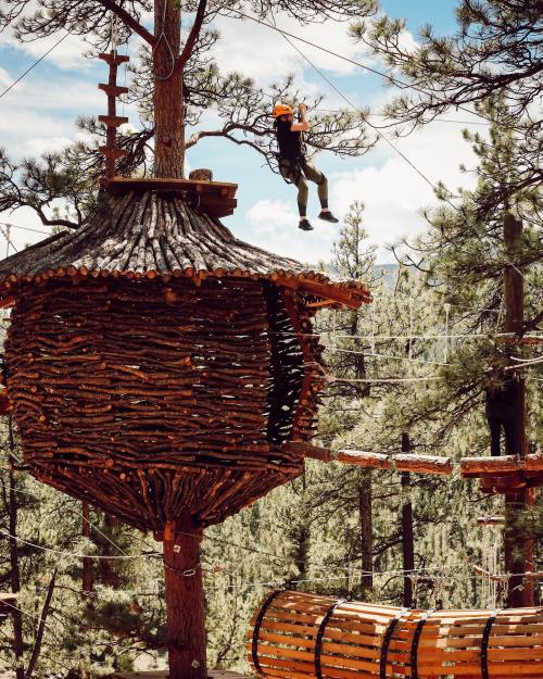 Treehouse Adventure Park Is One Of The Most Magical Places In Colorado