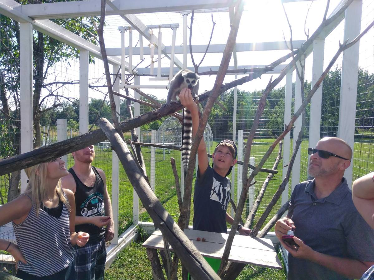 Supe's Exotic Jungle Is Unique Zoo Experience Near Detroit