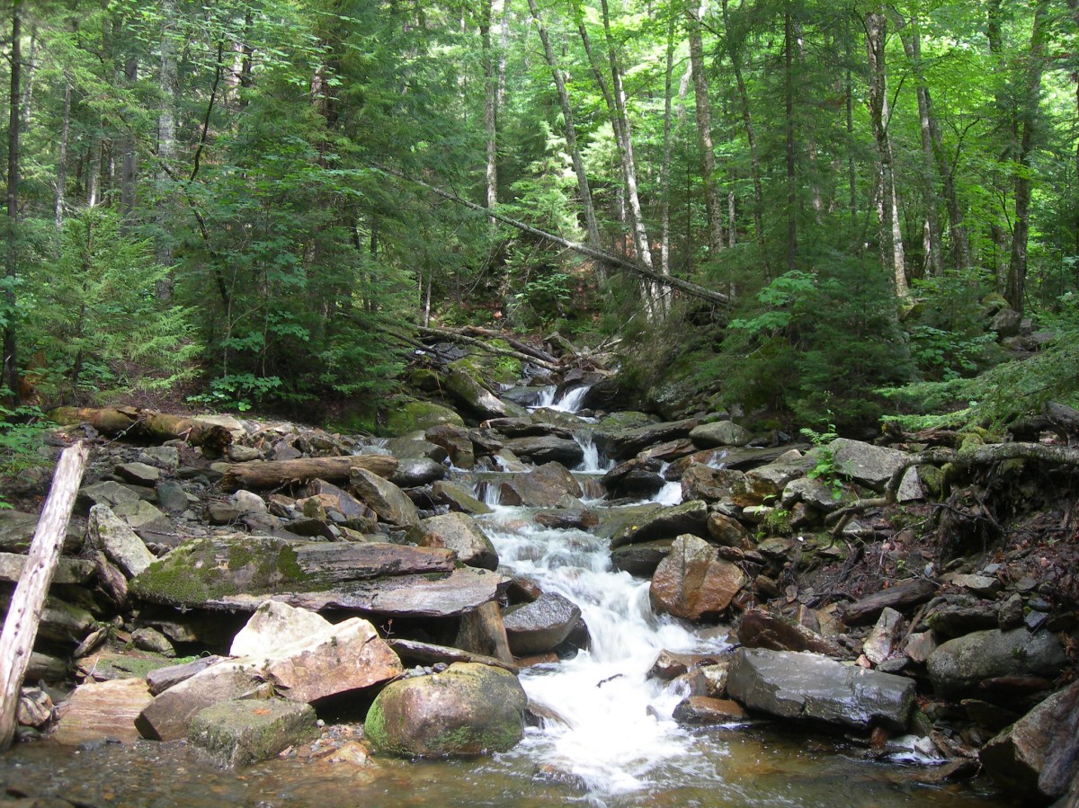 Explore the Beauty of Dixville Notch, NH