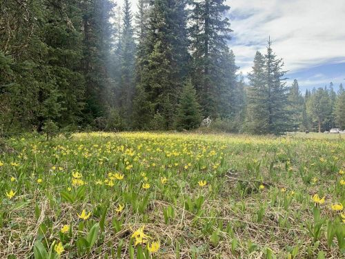 Grotto Falls Trail In Montana Leads To A Waterfall With Unparalleled Views