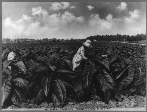 9 Historic Photos From 1900s Kentucky That Offer A Glimpse Of Life