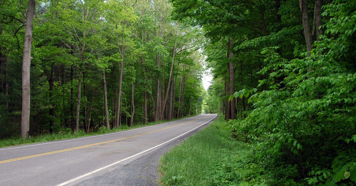 These 11 Beautiful Byways In Georgia Are Perfect For A Scenic Drive