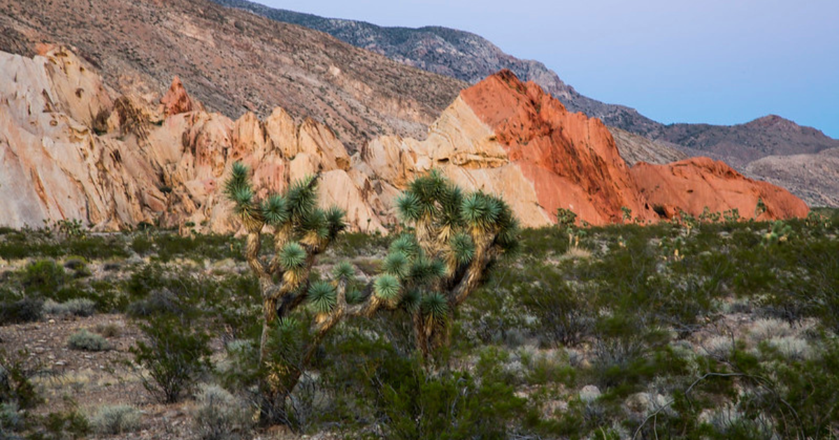 The 8 Best Back Roads In Nevada For A Long Scenic Drive