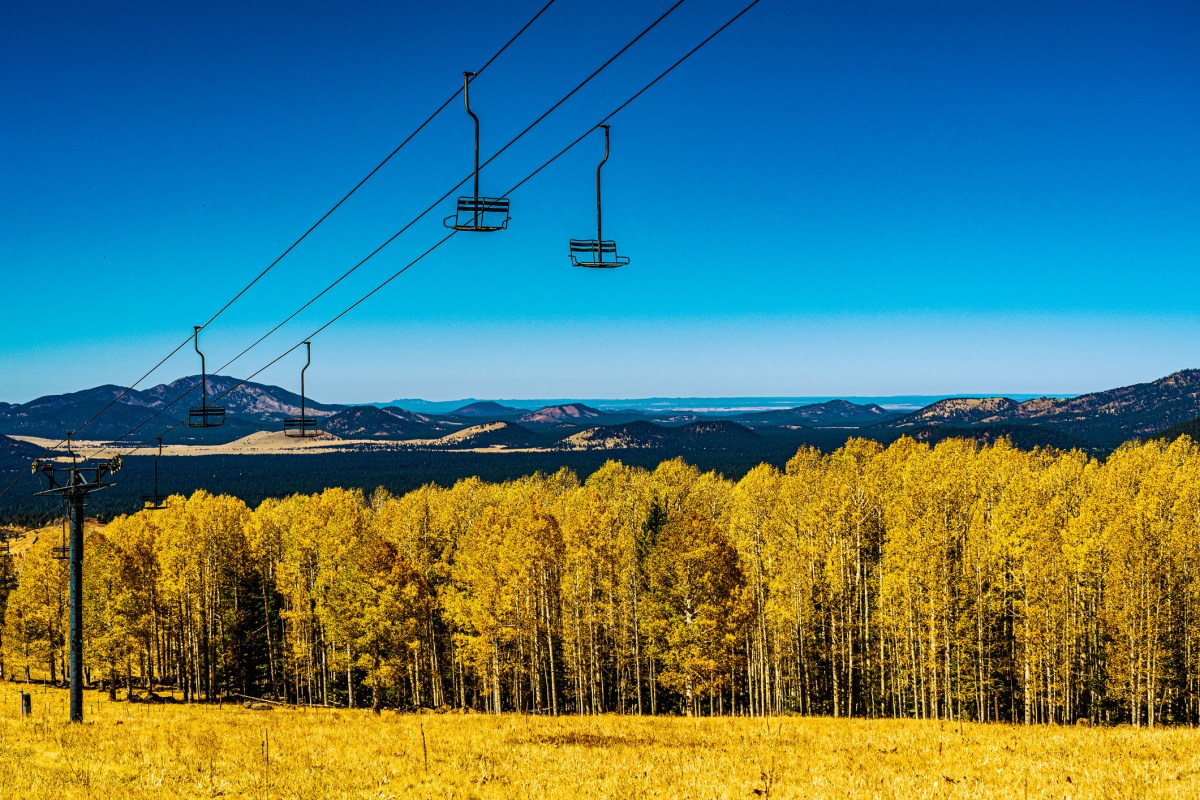 Where To See The Best Fall Foliage In Arizona For 2022
