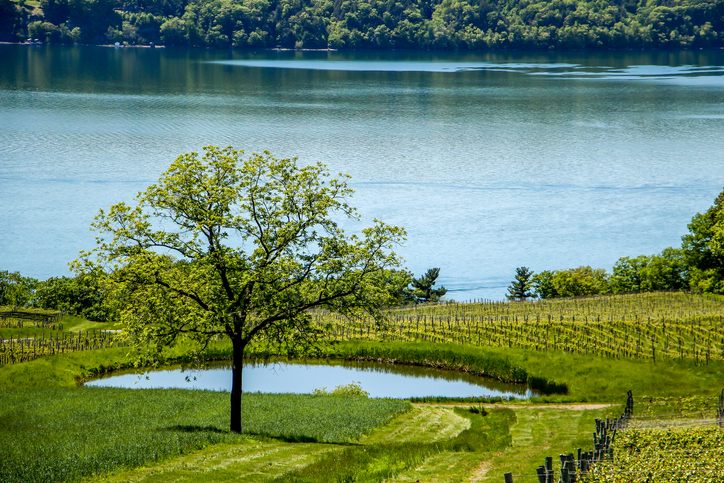 The Cayuga Lake Scenic Byway Is An Unforgettable New York Road Trip