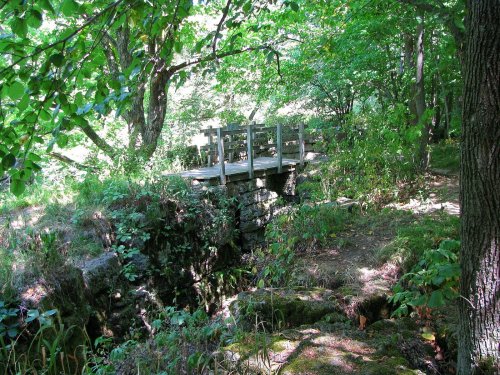 Explore Hidden Canyons At Wisconsin’s Ledge County Park