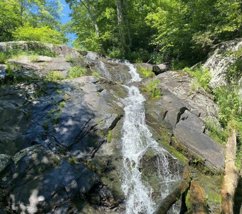 Fallingwater Cascades Loop: Enjoy A Beautiful Waterfall Trail In Virginia