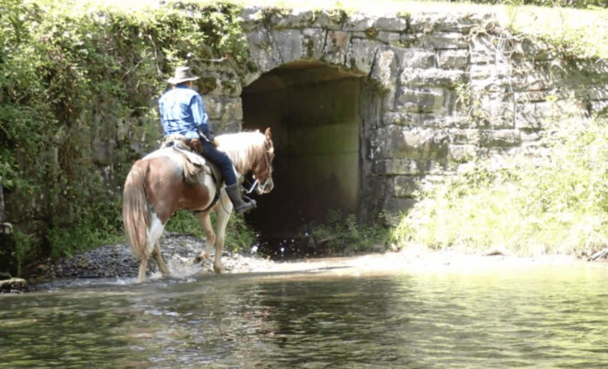 Smokemont Riding Stables: Guided Horseback Riding In North Carolina