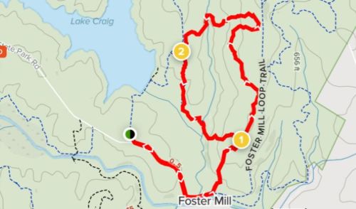 Hike To Historic Ruins On This Trail At Croft State Park In South Carolina