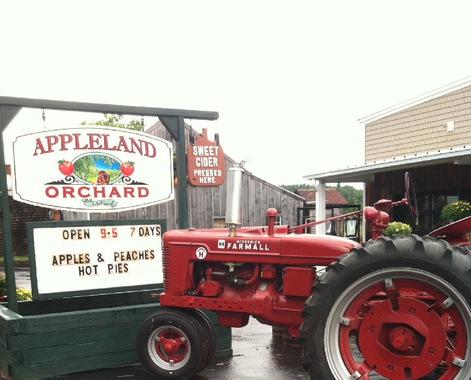 A Visit To This Stunning Orchard Is The Best Way To Kick Off Fall