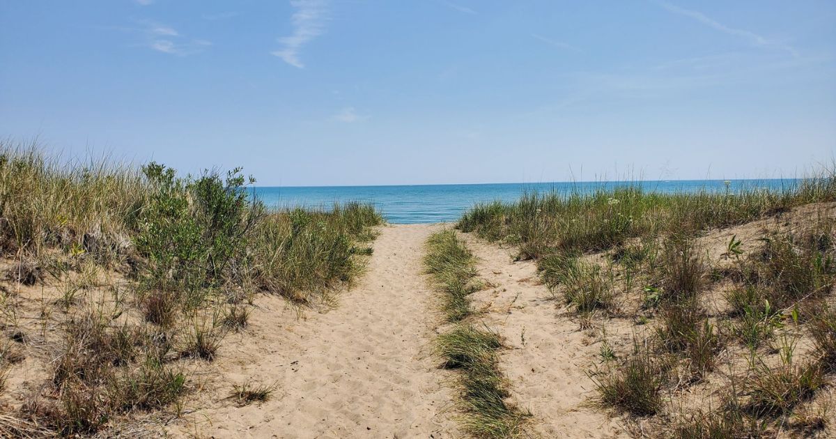 A Path At Illinois Beach State Park Trails Leads To Lake Michigan