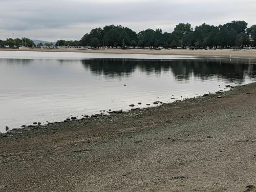 Take The Boston Harbor And Castle Island Loop In Massachusetts