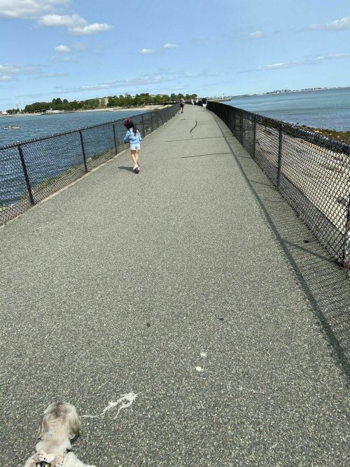 Take The Boston Harbor And Castle Island Loop In Massachusetts