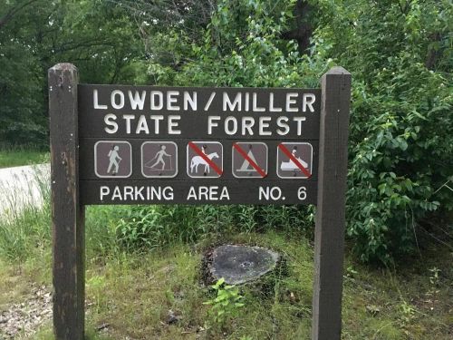 The Lowden-Miller State Forest Is One Of The Most Beautiful In Illinois