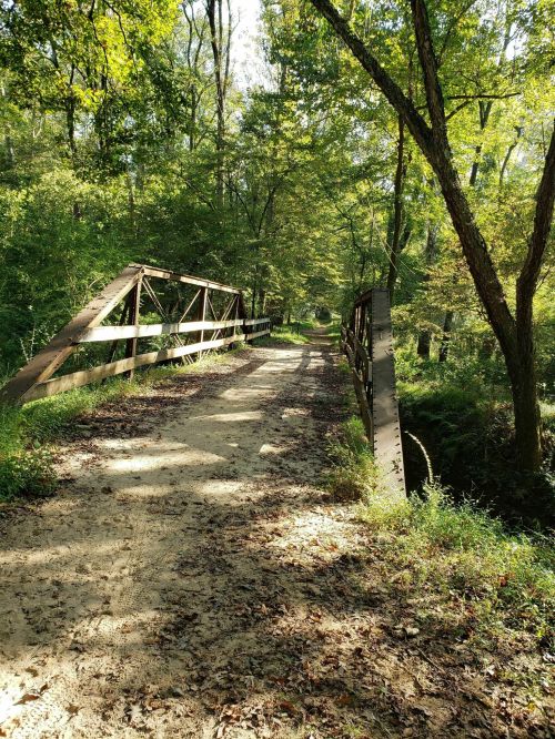 Hike To Historic Ruins On This Trail At Croft State Park In South Carolina