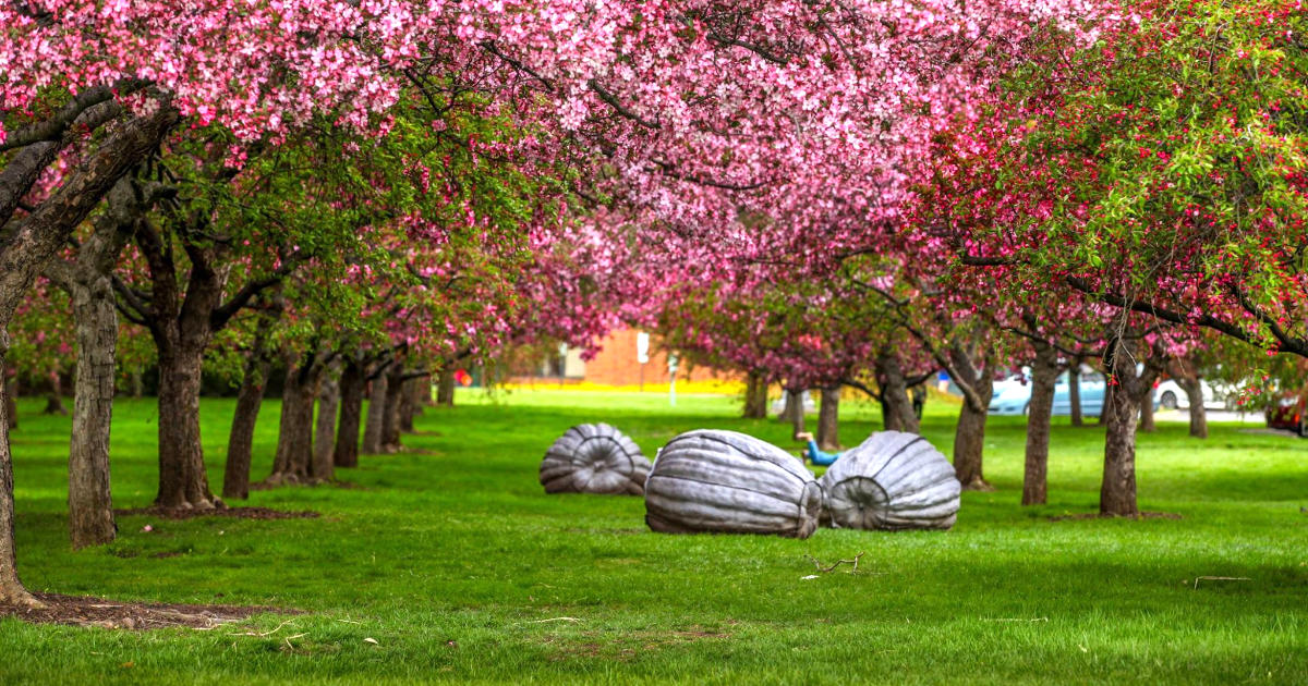 The 12 Very Best NJ Day Trips You Can Possibly Take