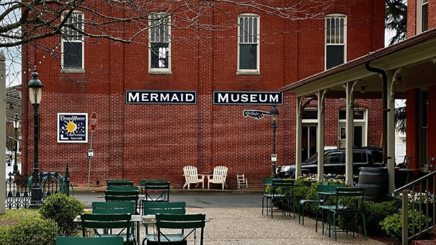 Mermaid Museum: A Maryland Museum To Learn About Mermaids