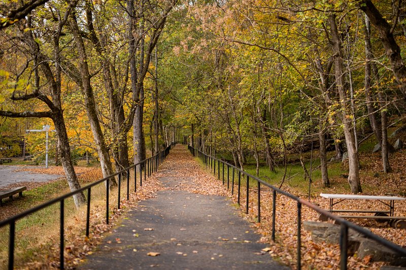 North Bend Rail Trail Is One Of The Most Unique Hikes In West Virginia