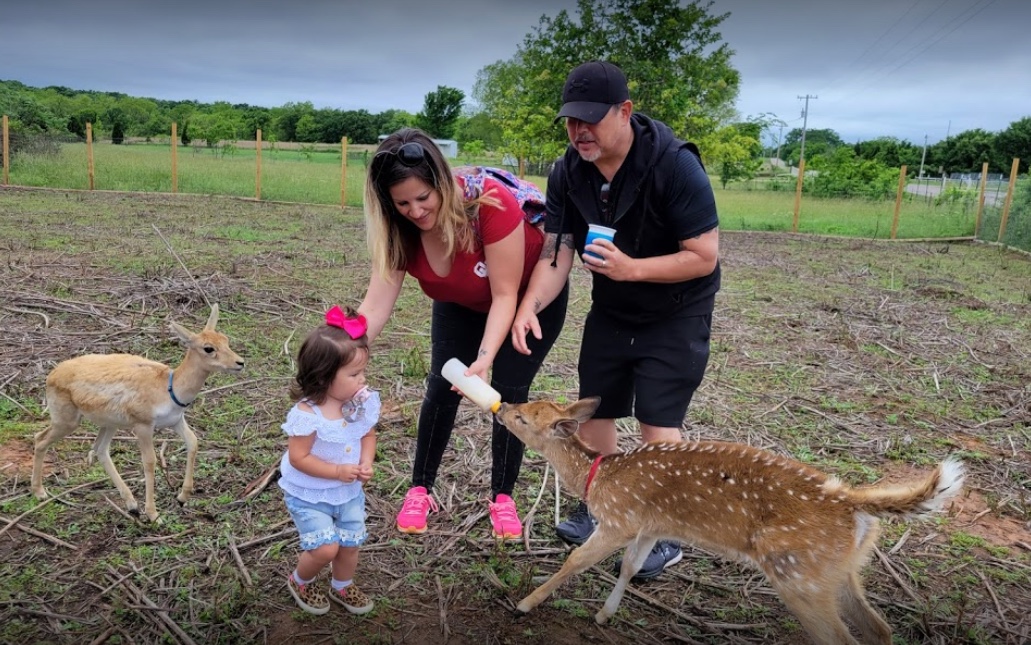 Enjoy A Fully Hands-On Petting Zoo Experience At Nomad's Animal ...