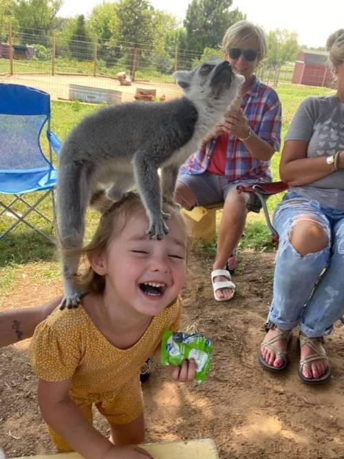 Enjoy A Fully Hands-On Petting Zoo Experience At Nomad's Animal ...