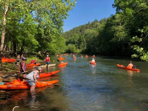 Terrapin Creek: Best Spot For Kayaking In Alabama