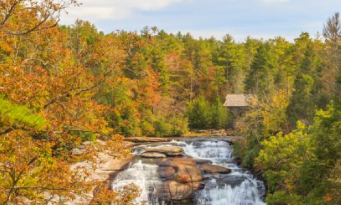Take A Fall Foliage Trail Ride In South Carolina On Horseback