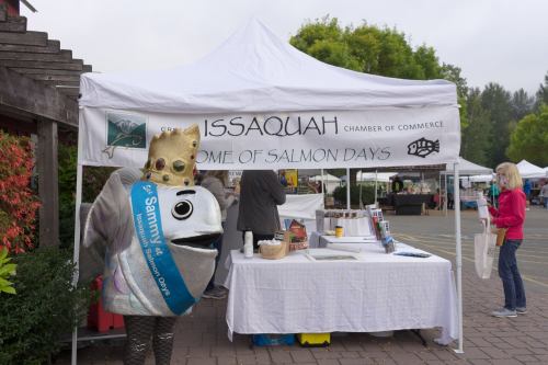 Celebrate The PNW At The Salmon Days Fall Festival In Washington