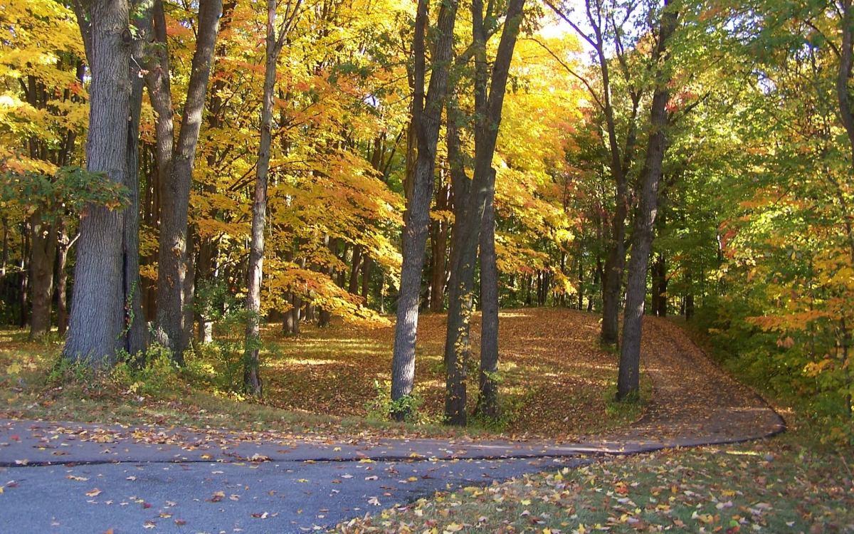 Hidden Lake Gardens Has Prettiest Fall Foliage In Michigan
