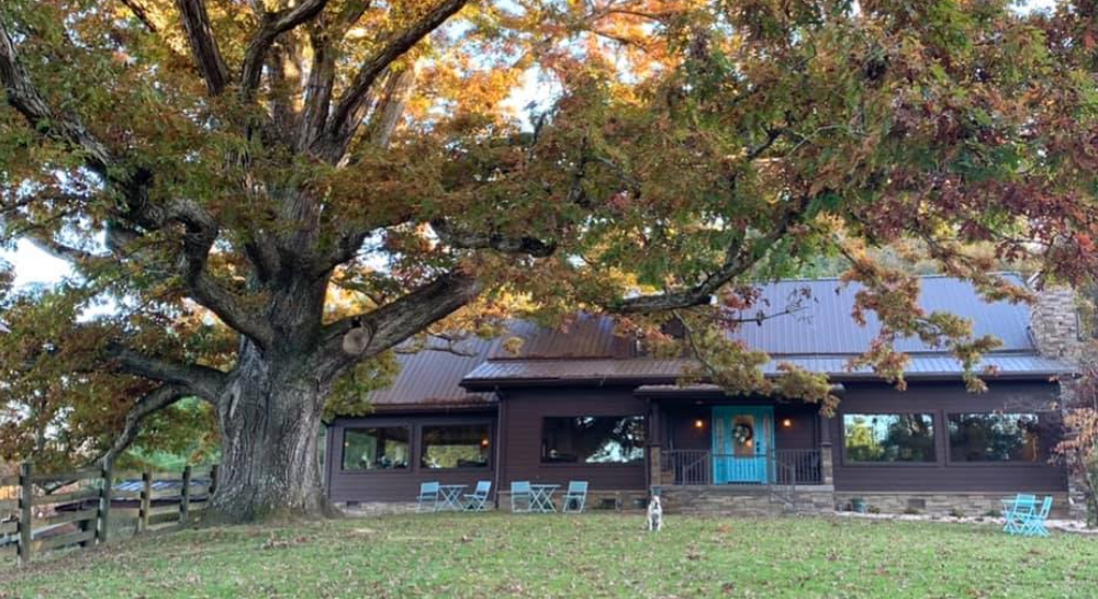 Dine Under An 800-Year-Old Tree At The Oak Restaurant In West Virginia
