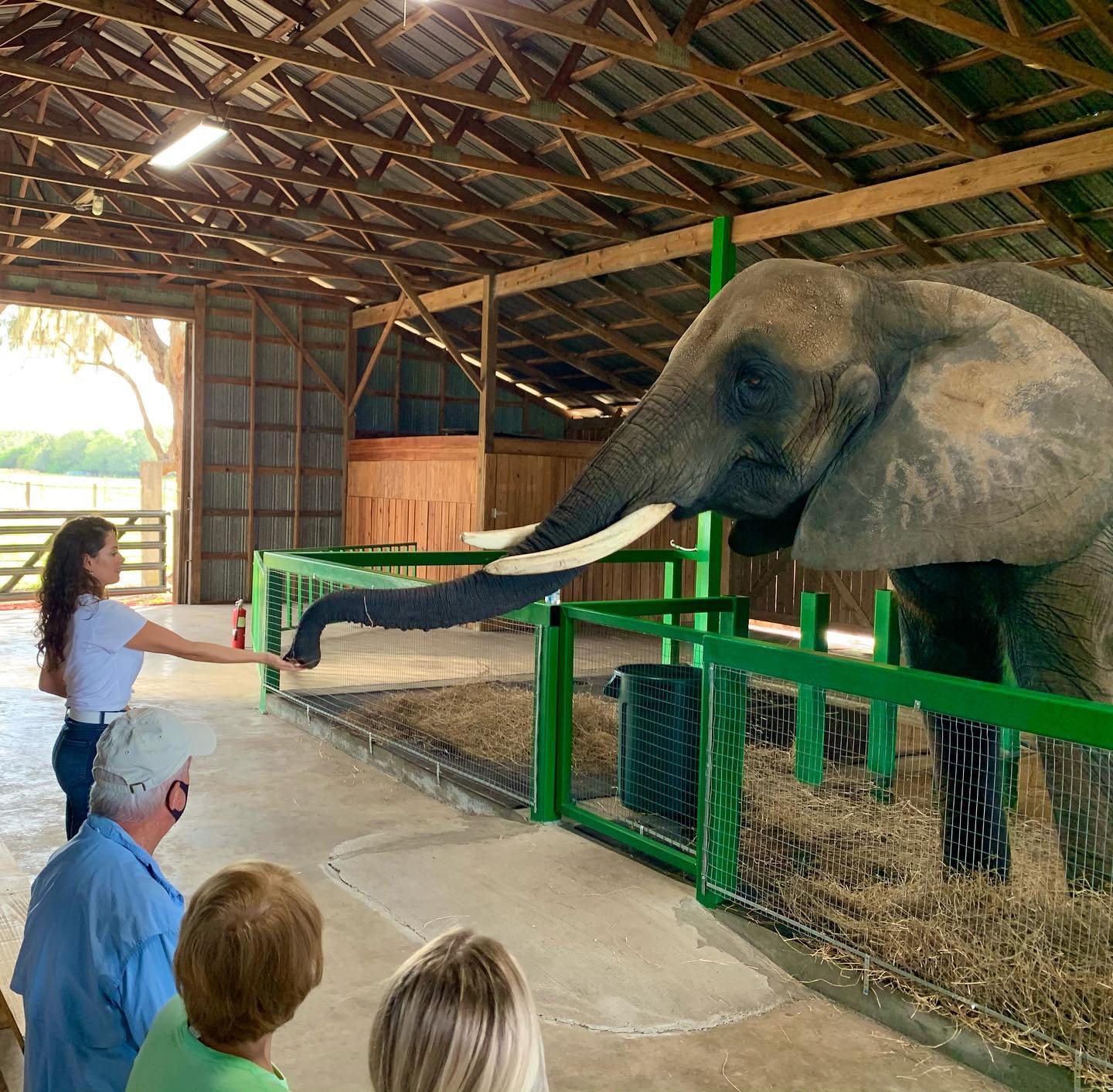 You’ll Never Forget A Visit To Myakka Elephant Ranch, A One-Of-A-Kind ...