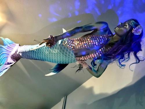 There's A Mermaid Museum In Washington Full Of Fascinating Artifacts