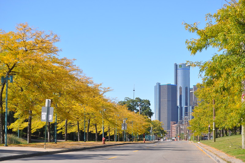 The Fall Foliage In Detroit Will Be Beautiful This Year