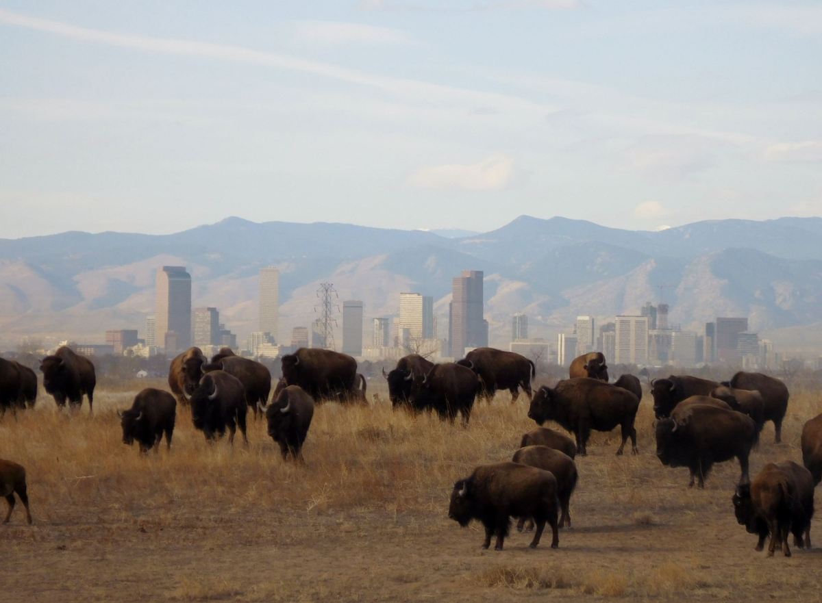 9 Underrated Places In Colorado That Even Natives Have Never Heard Of