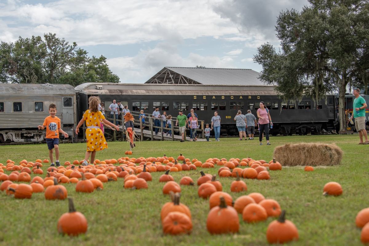 The Pumpkin Patch Express Train In Florida Is Fun For Everyone