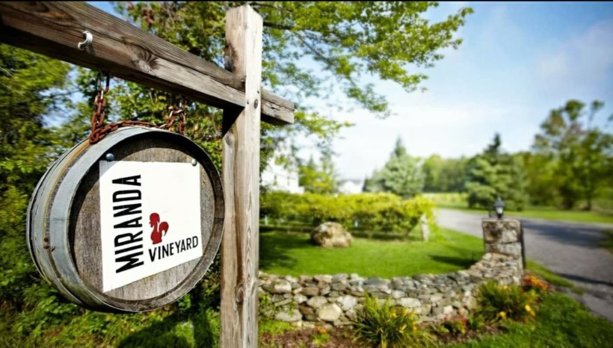 Miranda Vineyard In Connecticut That's Picture Perfect For A Day Trip