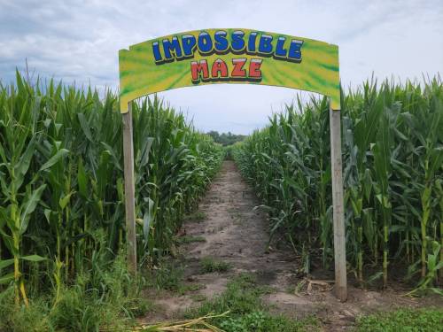 Check Out The Best Corn Mazes In Wisconsin For Some Fall Fun