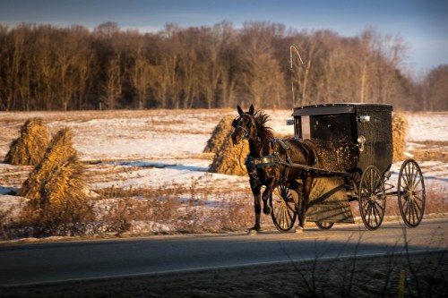 Clare Is One of the Most Charming Amish Towns in Michigan