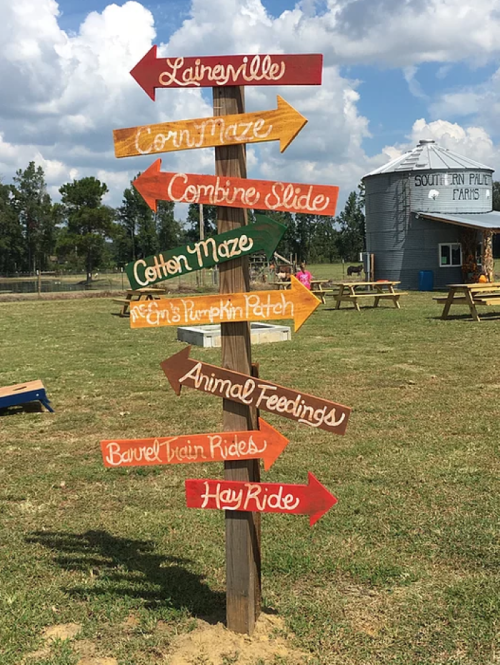 Southern Palmetto Farms Offers Fall Fun In South Carolina