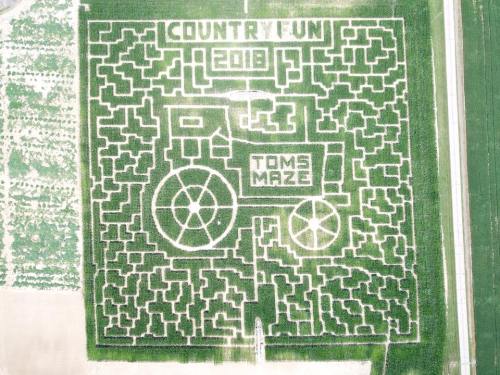 Tom's Maze: One Of The Biggest Corn Mazes In Ohio