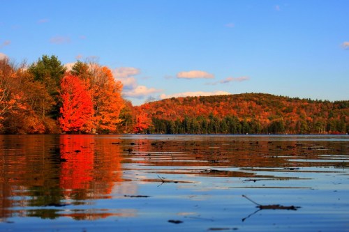 This Map The Best Places To See Fall Foliage In New Hampshire