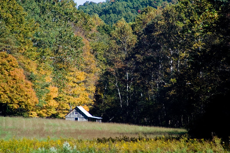 The Indiana Ghost Town That’s Perfect For An Autumn Day Trip
