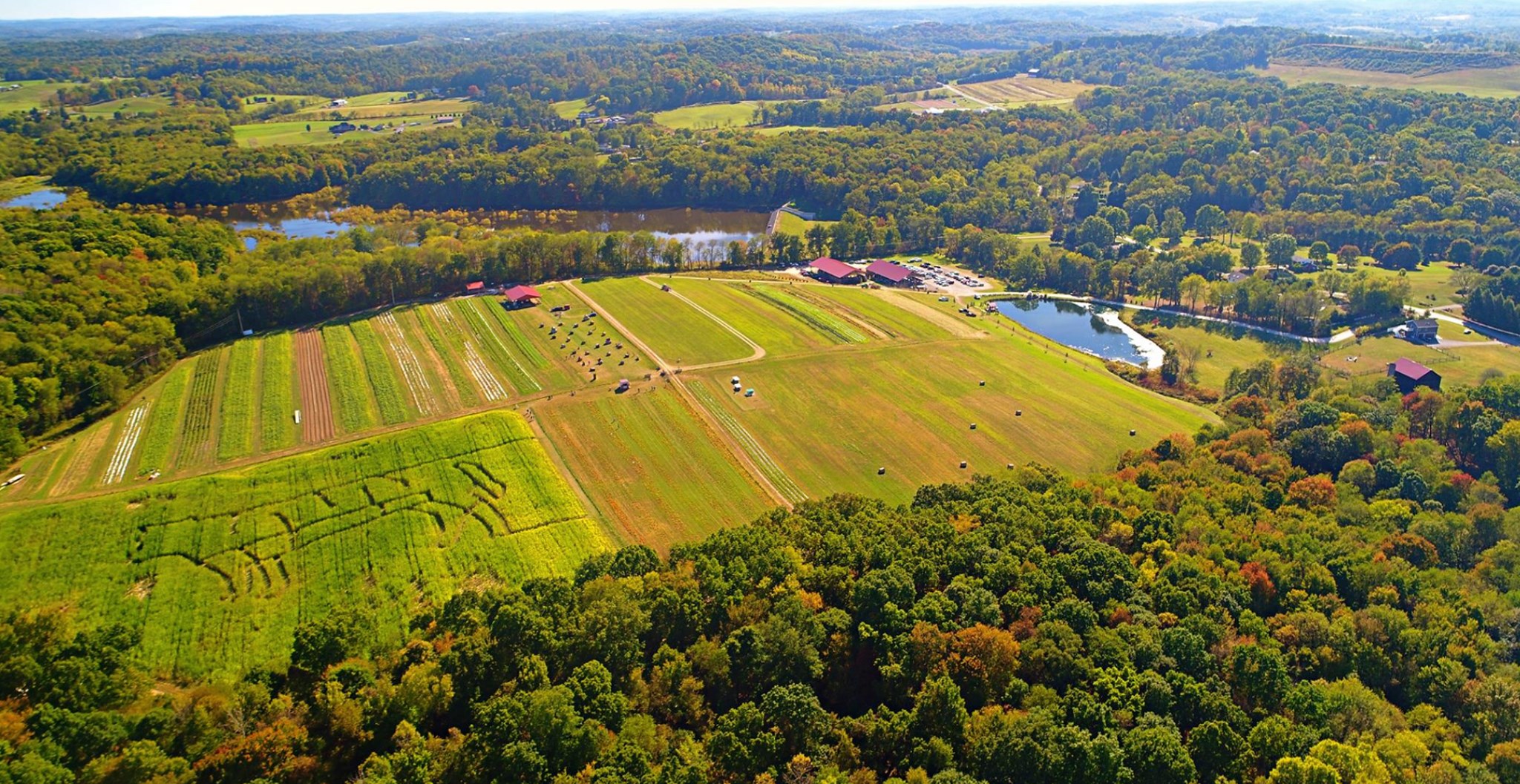 Add An Autumn Adventure To Your Itinerary With A Visit To Freedom Farms ...