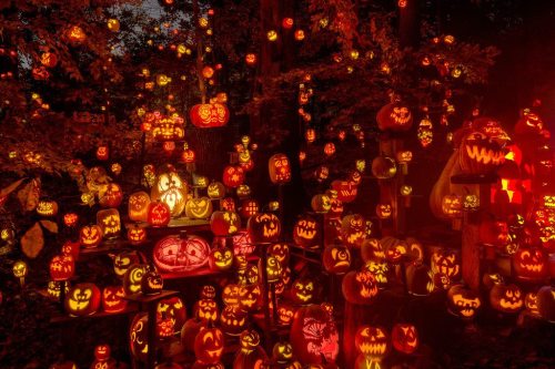 Louisville Pumpkin Spectacular: Kentucky Pumpkin Trail