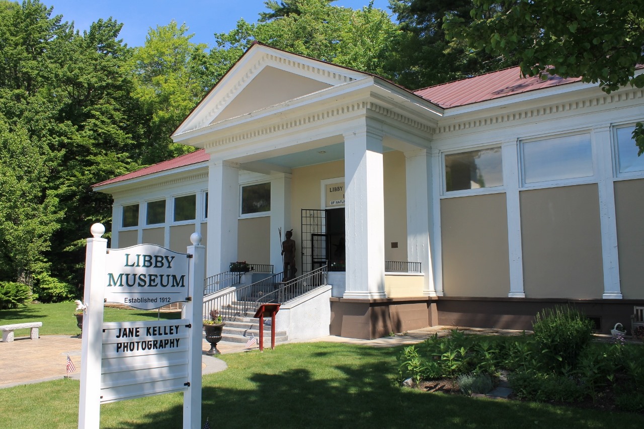 There’s A Natural History Museum In New Hampshire And It’s Full Of ...