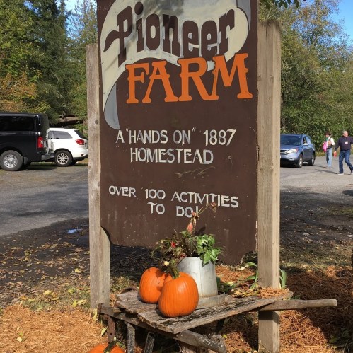 Travel Back To The 1800s At Washington's Pioneer Farm Museum