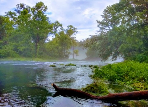 Welch Spring Trail In Missouri Leads To Hospital Ruins