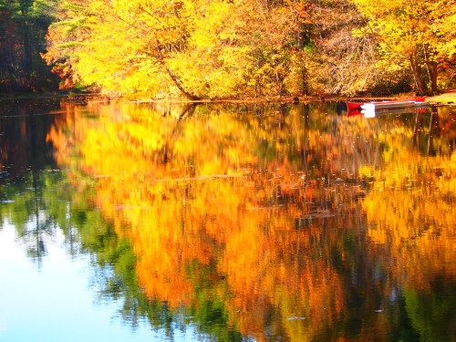 Rhode Island's Fall Foliage Is Set To Be Quite Impressive This Year